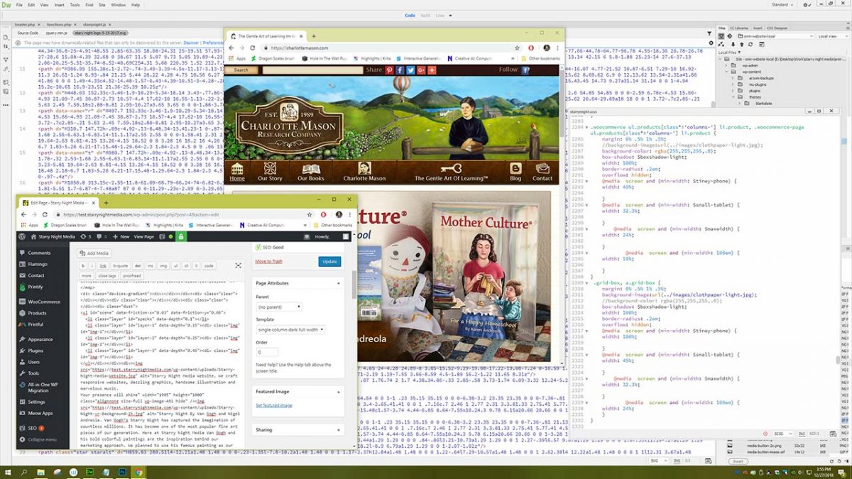 Starry Night Media, LLC: Web Design, Graphic Design, Illustration, Music